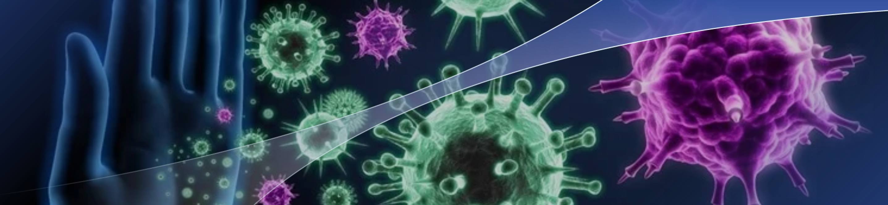 Je immuunsysteem is van levensbelang! – ImmuunTrainer